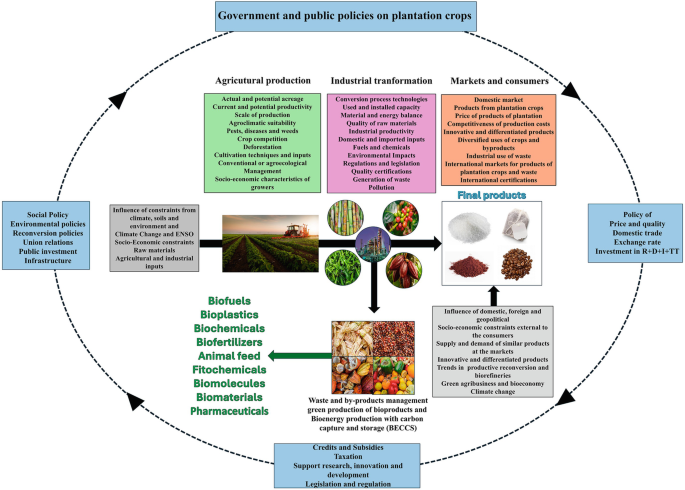 Policy Options, Development of Sustainability Indicators, Environmental ...