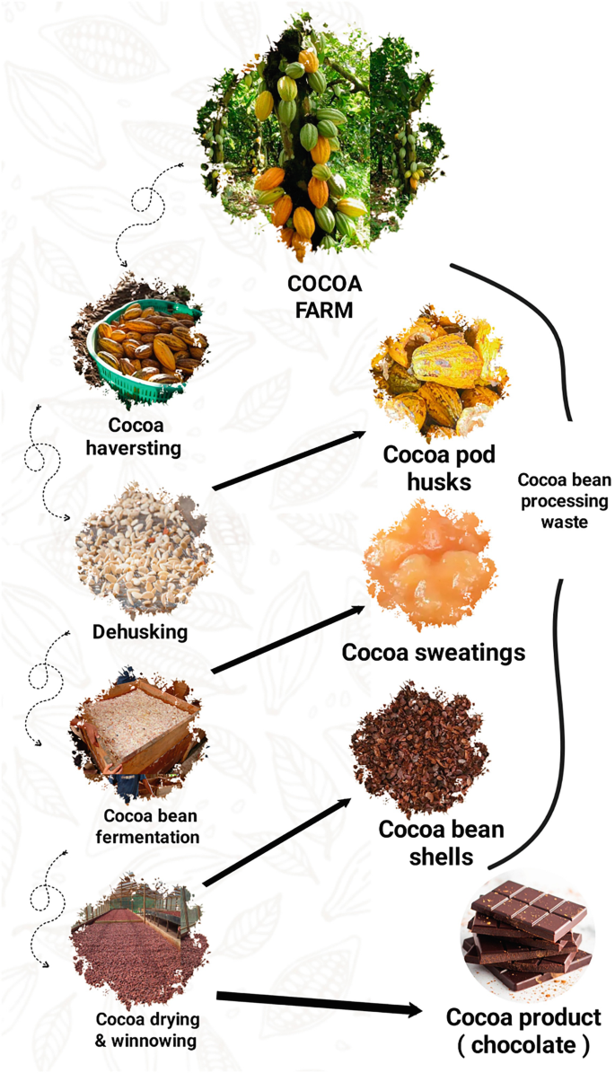 Biotechnological Approaches for Cocoa Bean Processing Waste ...