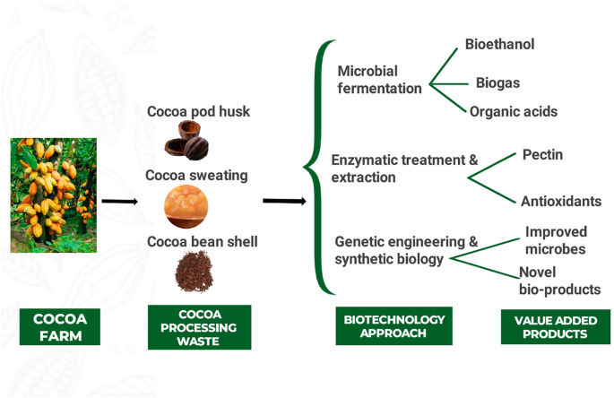 Biotechnological Approaches for Cocoa Bean Processing Waste ...