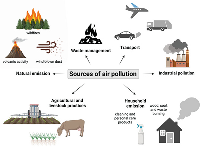 Carbon-Based Nanosensors for the Detection of Pollutants | SpringerLink