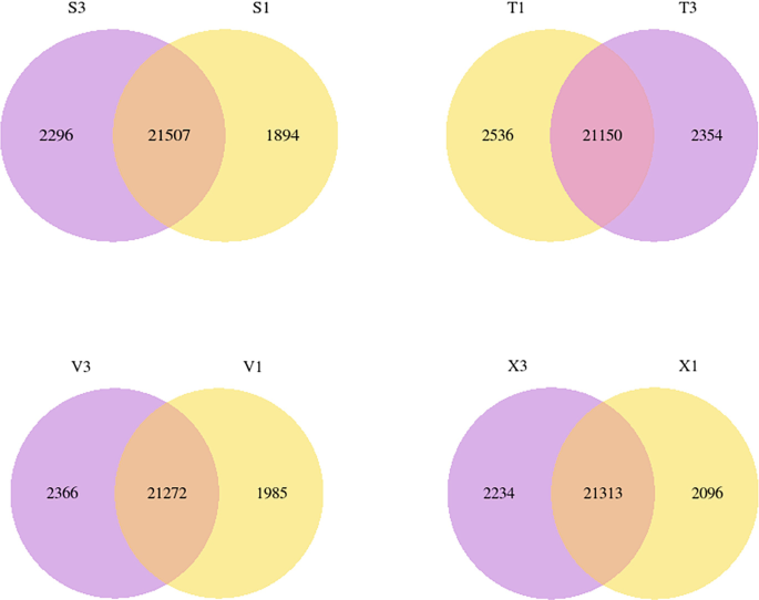 Grapes and Transcriptomics: Fueling the Nutrigenomics Era | Springer ...