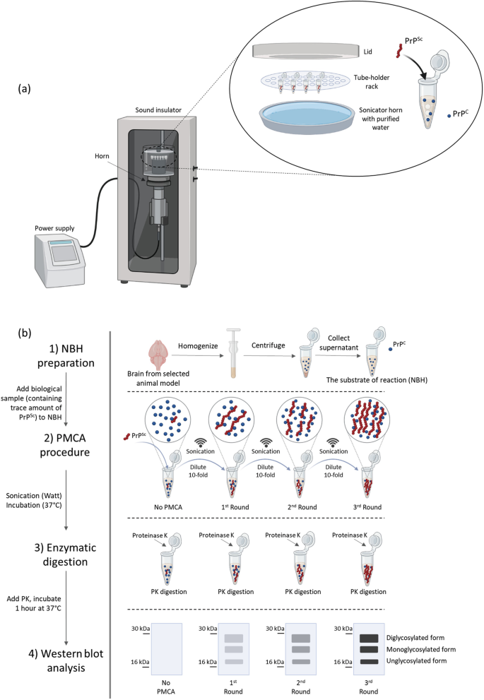 Detecting the Undetectable: Exploring the Diagnostic Potential of ...