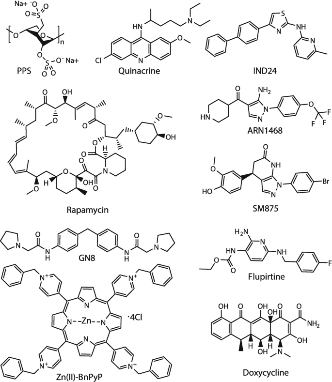 Therapeutic Trajectories in Human Prion Diseases | SpringerLink