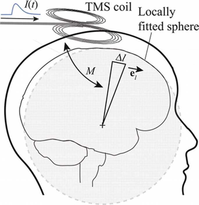 Basic Principles of Navigated TMS | SpringerLink