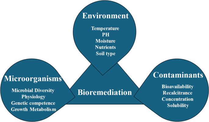 From Contaminants to Cleanup: The Power of Microorganisms in ...