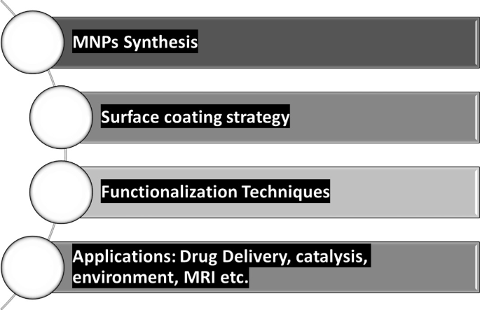 Surface Functionalization of Magnetic Nanoparticles | SpringerLink