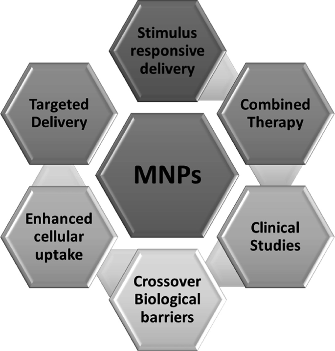 Surface Functionalization of Magnetic Nanoparticles | SpringerLink