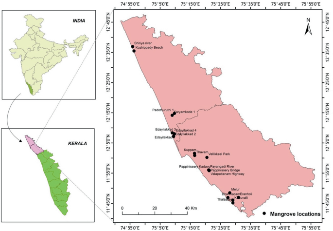 Study on Mangrove Ecosystem in Northern Kerala by Using Remote Sensing ...