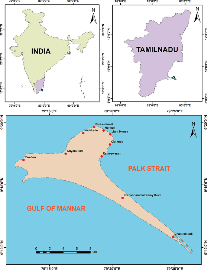 High-Energy Deposits in the Shadow Zone of Rameswaram Island, Southeast ...