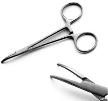 Surgical Instrumentation for Labia Majora Labiaplasty | Springer Nature ...