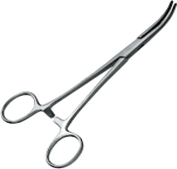 Surgical Instrumentation for Labia Majora Labiaplasty | Springer Nature ...