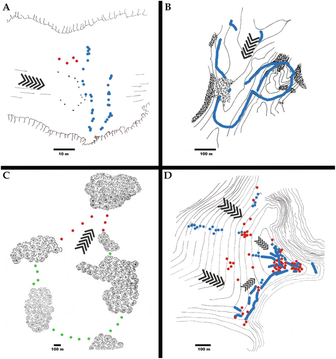 Communal, Collective, and Massive Guanaco Hunts: The Regional ...