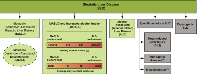 Steatotic Liver Disease | SpringerLink