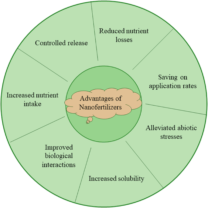 Nanobiofertilizers for Foliar Use: Pioneering Sustainable Agricultural ...