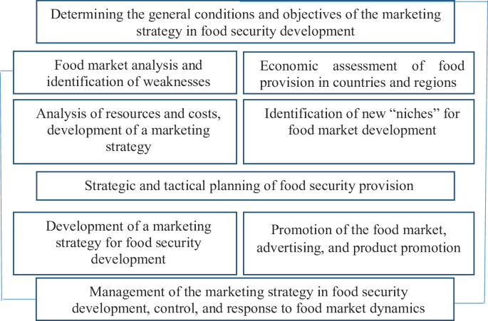 Marketing Strategy in the Development of Food Security | Springer ...