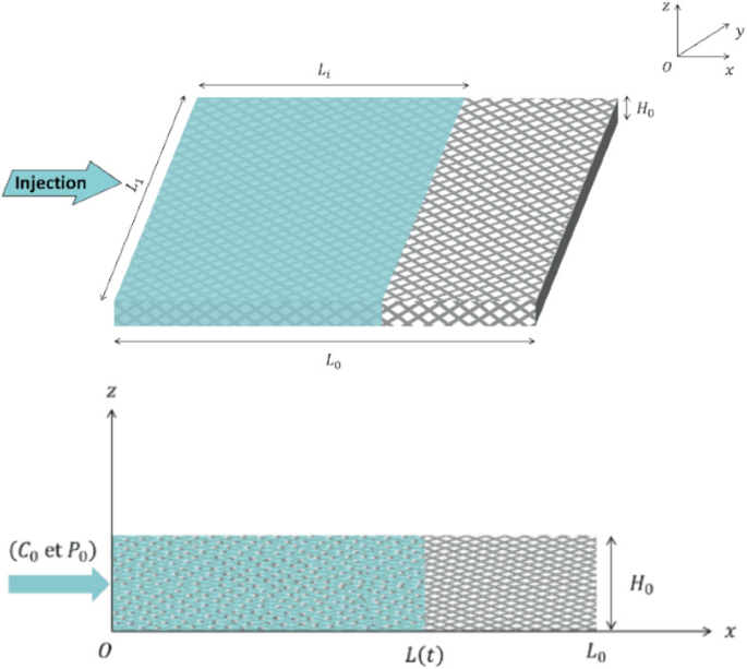 Optimization and Simulation of Particle Distribution in Functional ...