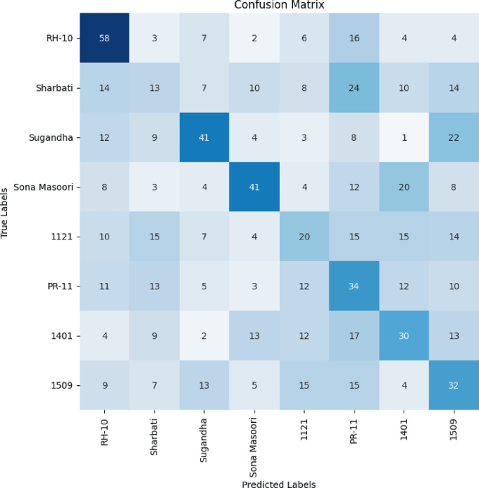 Evaluating Transfer Learning Models for Indian Rice Classification: The ...