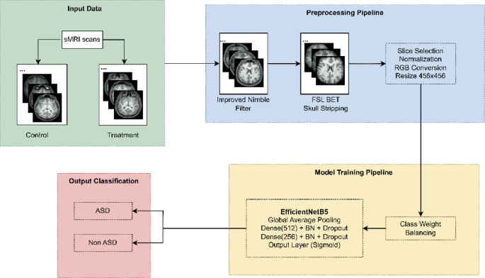 Detection of Autism Using Structural Brain MRI with Improved Nimble ...
