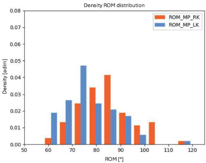 Dual-Camera System for AI Markerless 3D Lower Limb Motion Analysis ...