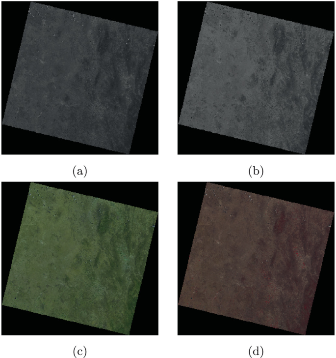 Fire Risk Assessment in San Luis Potosí’s Middle Zone Using CBIR and ...