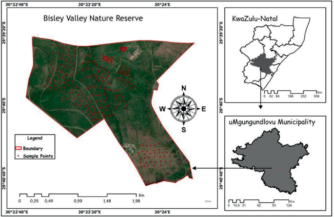 Assessment of Soil Organic Carbon Across a Woody Encroached Bisley ...