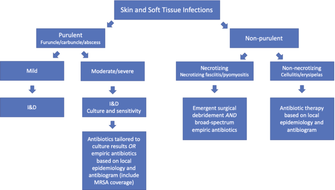 Infections in the Adult Solid Organ Transplant Recipient | SpringerLink
