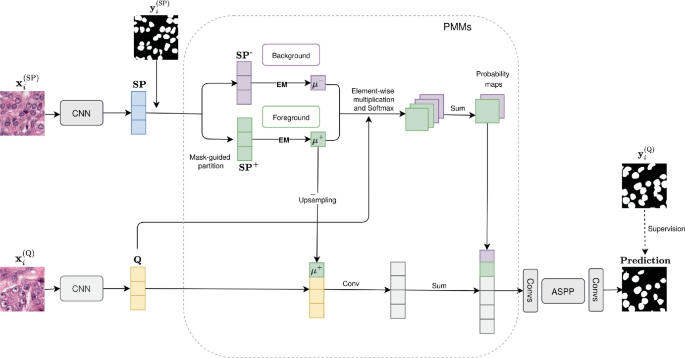 Harnessing Few-Shot Learning Segmentation for Histopathology: A ...