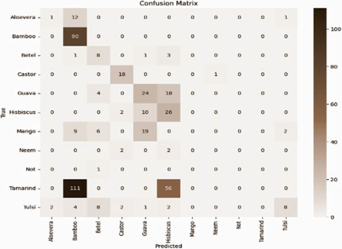 Efficient Medicinal Plant Leaf Classification Using MobileNet ...