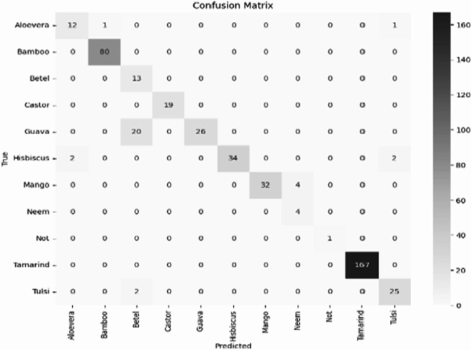 Efficient Medicinal Plant Leaf Classification Using MobileNet ...