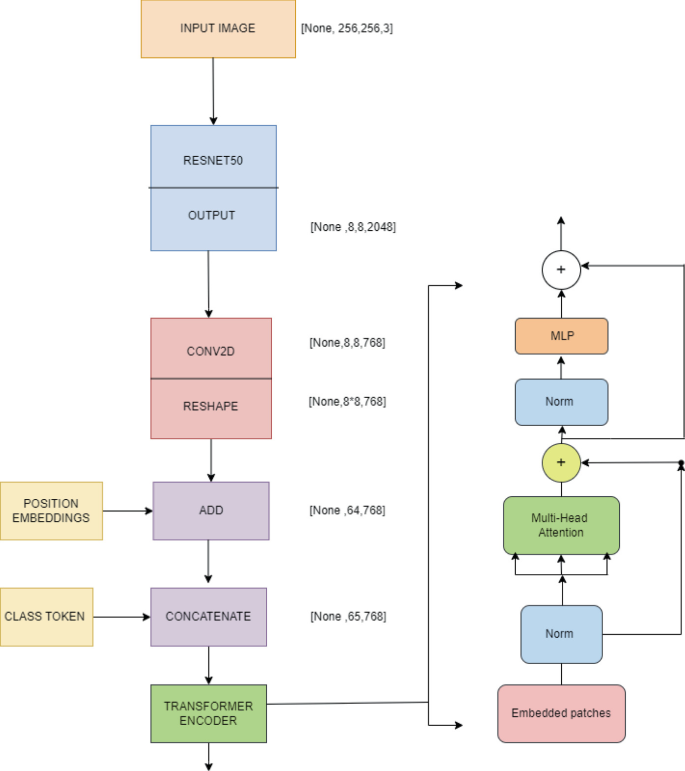 Potato Leaf Disease Classification Using Resnet50ViT | SpringerLink
