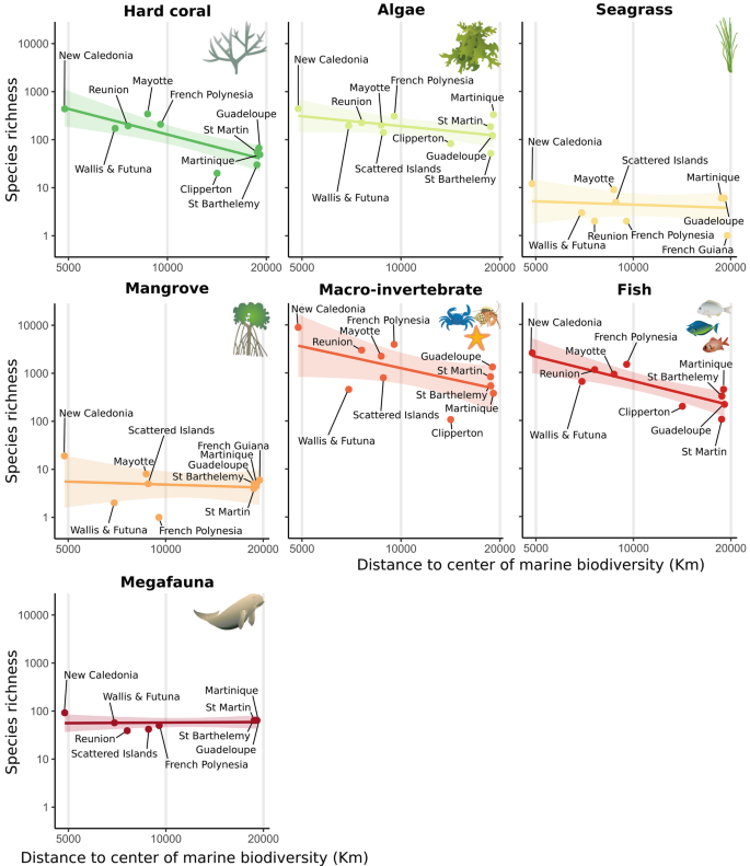Snapshots of Coral Reef Biodiversity | SpringerLink