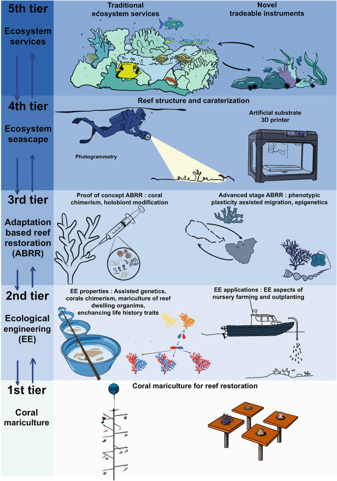 Evaluating the Role of Natural and Human-Assisted Coral Reproduction to ...