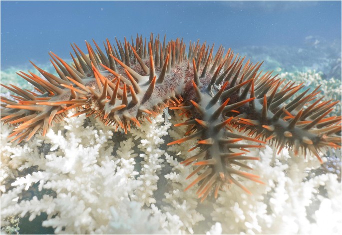 The Use of New Biologically Based Technological Development in the ...