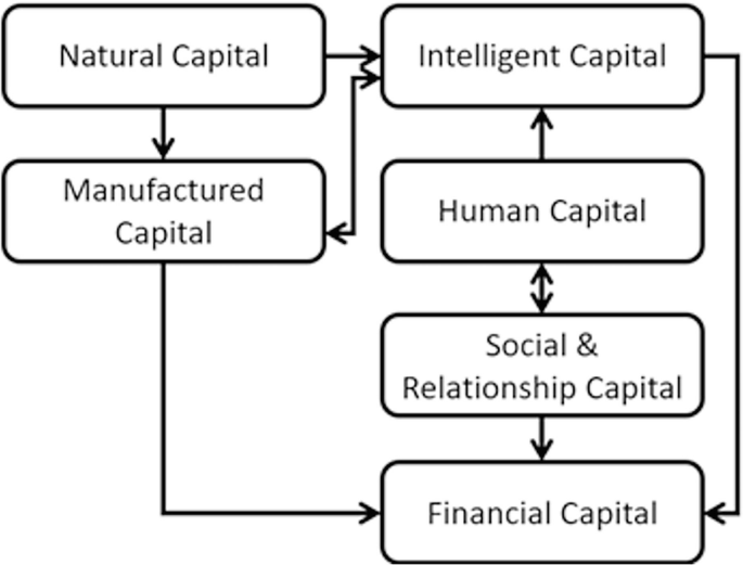 Service Capability Framework: Integrated Capital Utilization—Case of ...