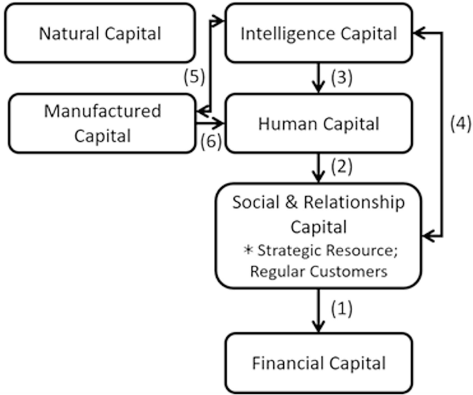 Service Capability Framework: Integrated Capital Utilization—Case of ...