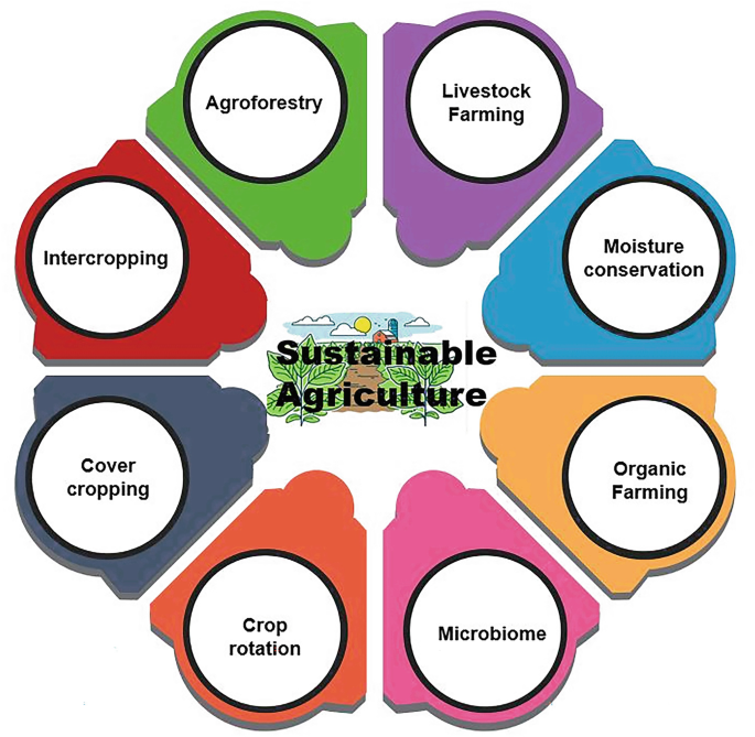 Unraveling the Role of Plant-Microbe Interactions in Sustainable ...