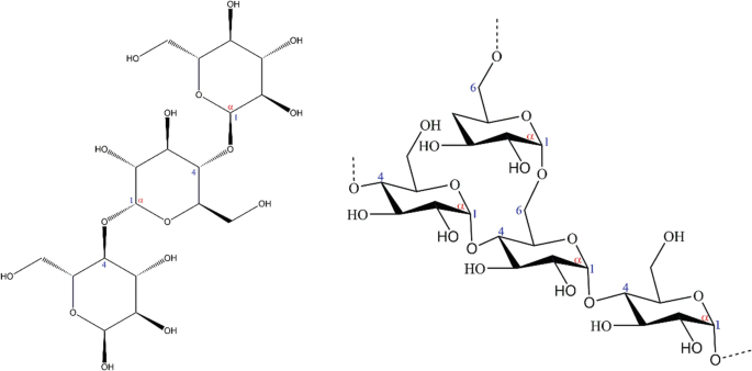 Starch Architecture | SpringerLink