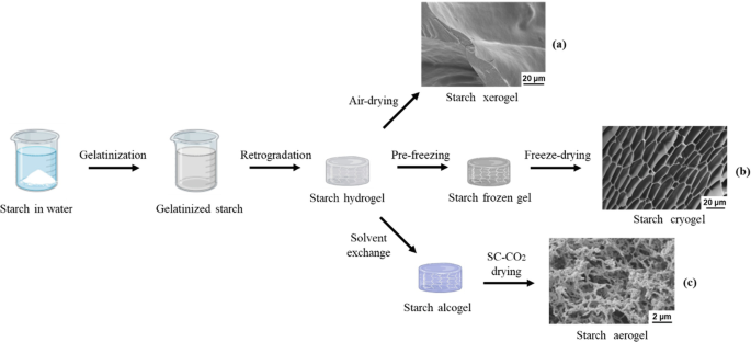 Starch in Aerogels | SpringerLink