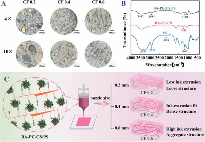Starch in 3D Food Printing | SpringerLink