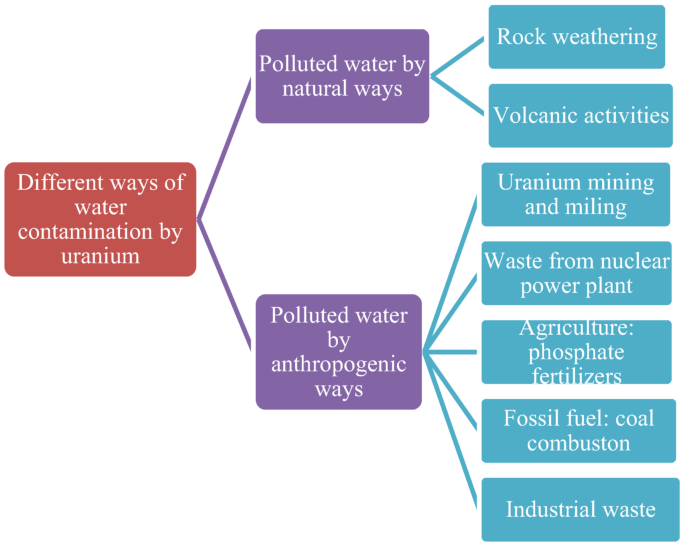 Unveiling Uranium Behavior in Polluted Water: Seawater, Wastewater, and ...