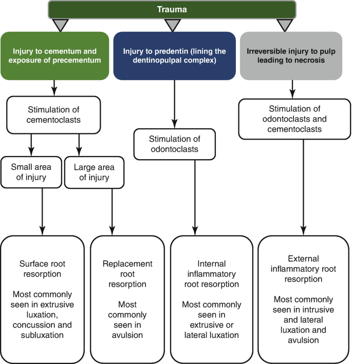 Consequences and Management of Traumatic Dental Injuries in the ...