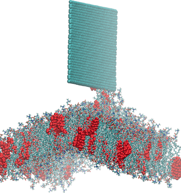 Comparison of the Number of Molecules Extracted from the Phospholipid ...