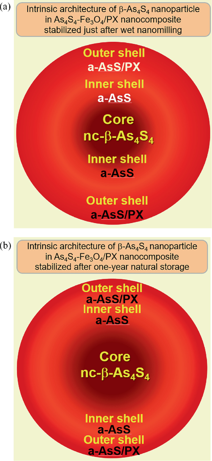 On the Paradigm of Fluorescence-Magnetic Co-Functionalization of As4S4 ...