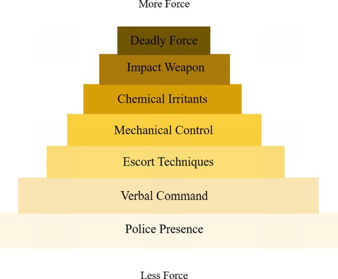 Police Use of Force in Trinidad and Tobago | Springer Nature Link ...