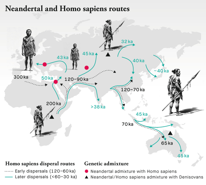 Homo erectus: The Hunger Challenge | Springer Nature Link