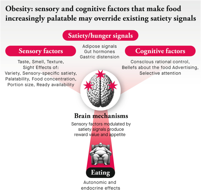 Evolution of Taste | SpringerLink