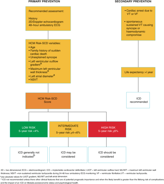 Sudden Cardiac Death in Hypertrophic Cardiomyopathy | SpringerLink