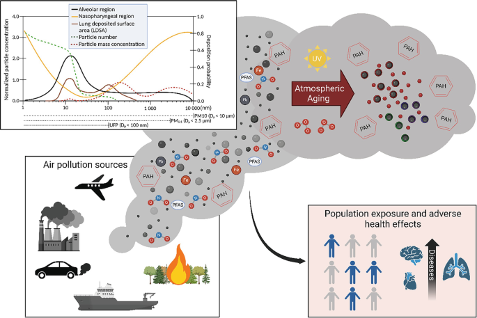 Ambient Air Pollution: Which Components Are Most Important for the ...