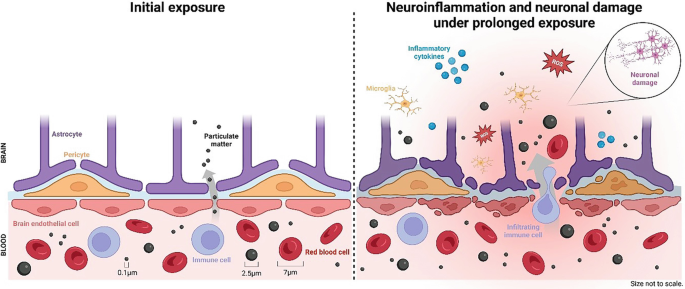 Air Pollution as a Risk Factor of Neurodegenerative Diseases and Stroke ...