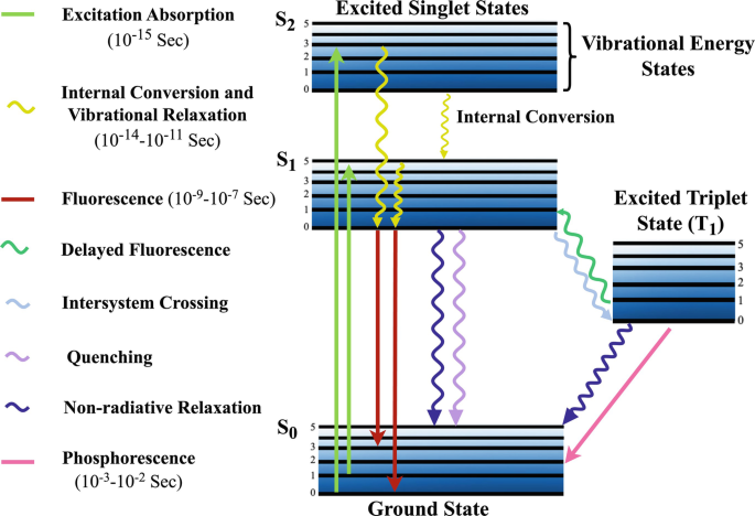 Basics of Light Microscopy and Fluorescence Imaging | SpringerLink